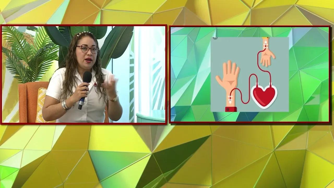 Esta es la importancia de donar en el Banco de Sangre