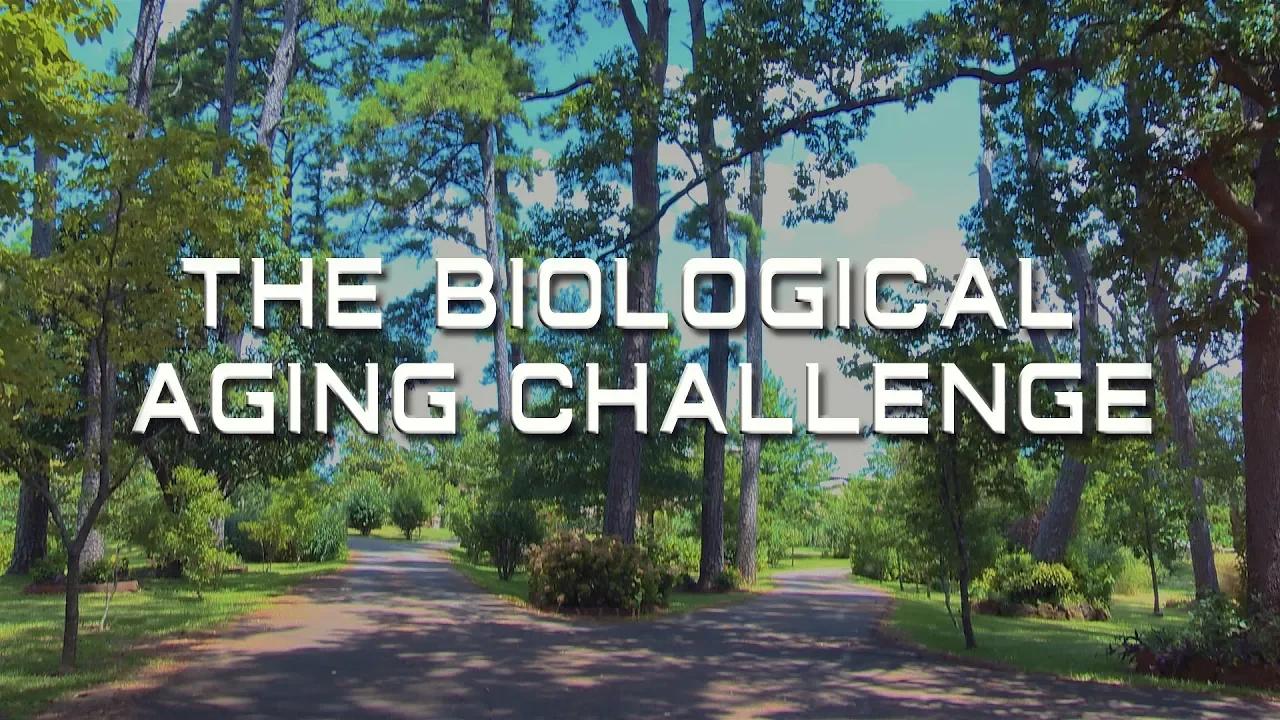 The Biological Aging Challenge - Preview