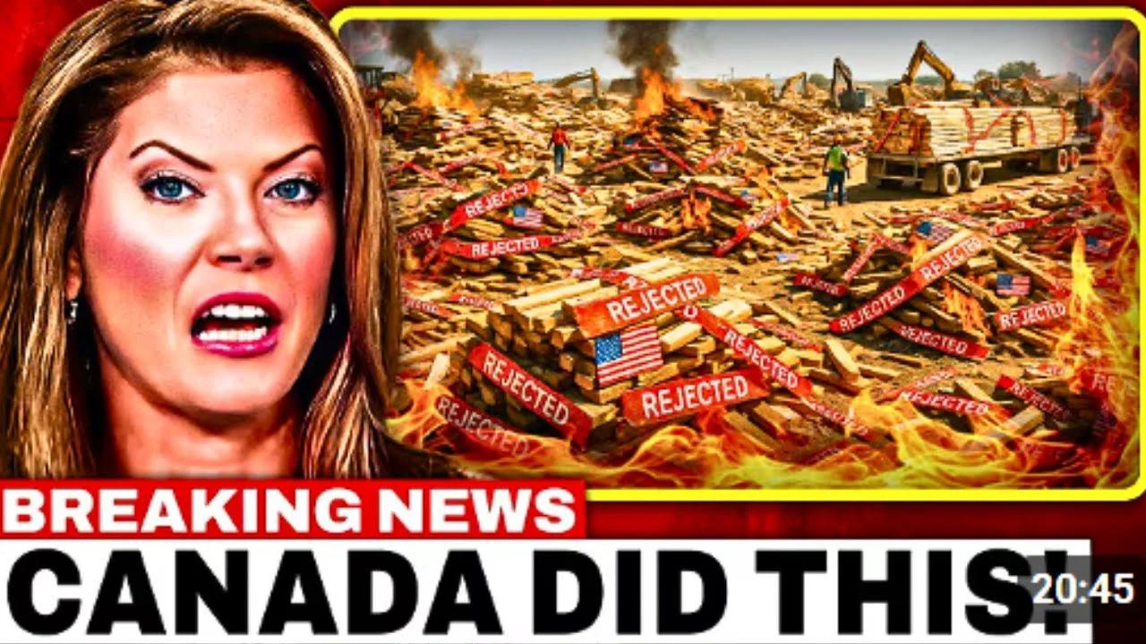 U.S. Lumber Exports REJECTED After Canada Slams the Door and Housing ...