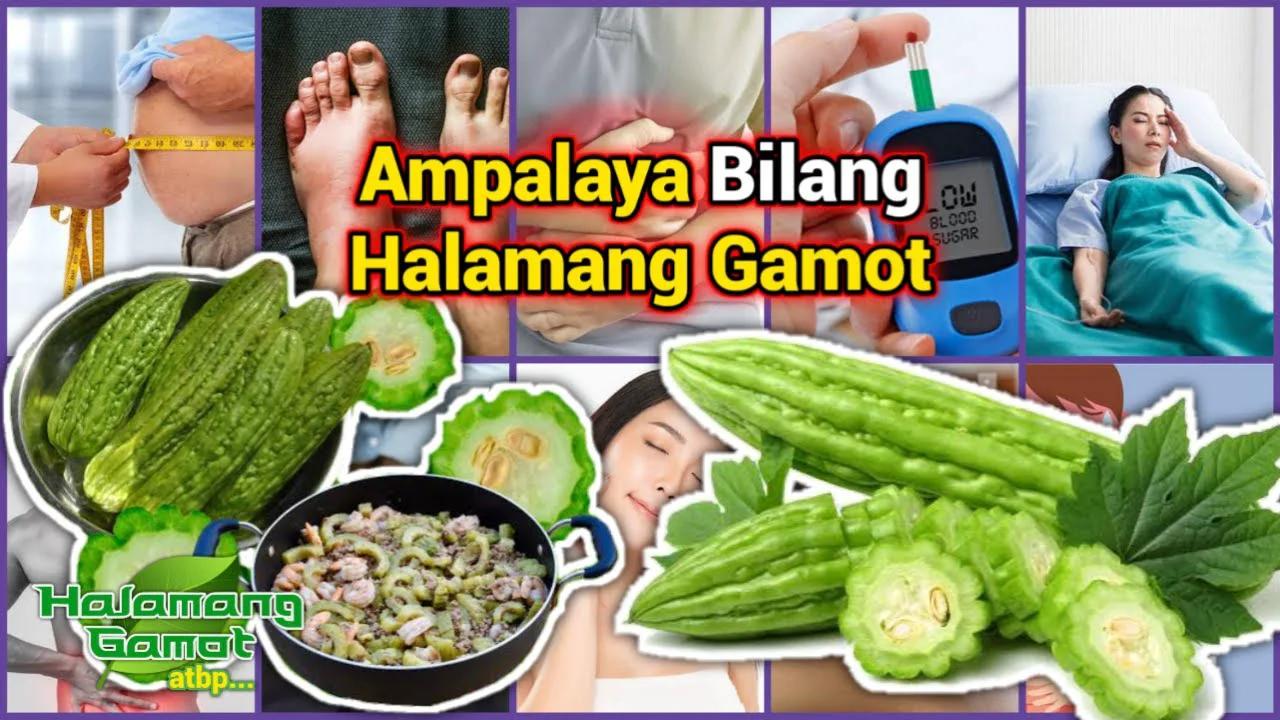 Ampalaya Bilang Halamang Gamot | Halamang Gamot ATBP