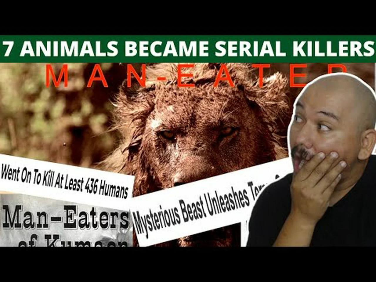 7 Times Animals Became Serial Killers: Casual Geographic | TodayOn ...