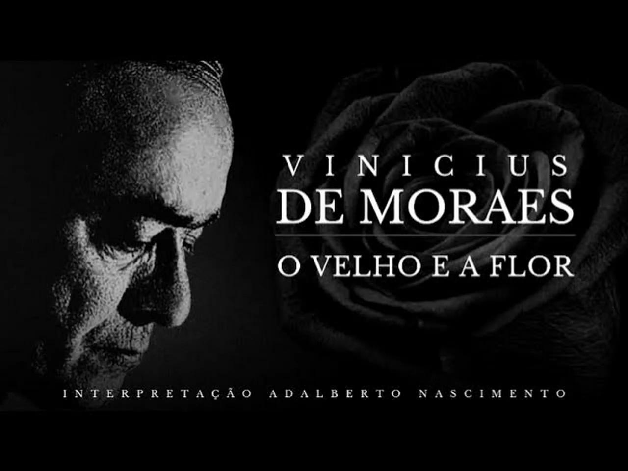 O VELHO E A FLOR | Vinicius de Moraes