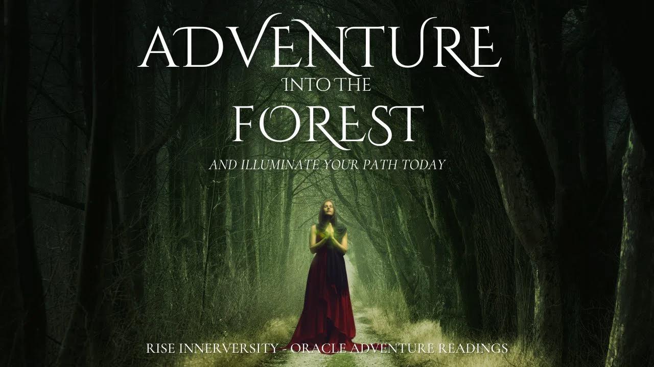 🌲 DISCOVER: The Magic of the Enchanted Forest Oracle Adventure Reading! 🌲