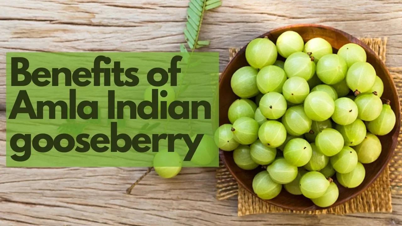 Top 10 Health Benefits of Amla Indian gooseberry | Amla Nutritional ...