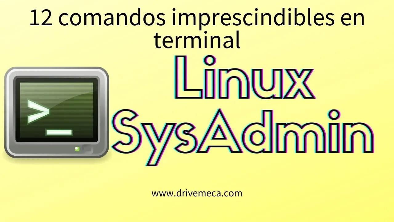Linux SysAdmin - 12 comandos imprescindibles en terminal