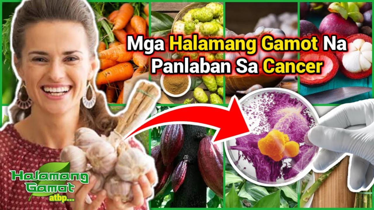 Mga Halamang Gamot Na Pang iwas At Panlaban Sa Cancer At Tumor ...