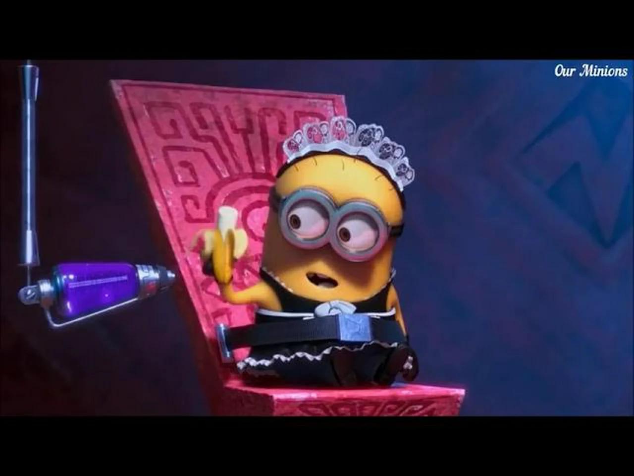 PX 41 - Despicable Me 2 PX 41 - Despicable Me 2