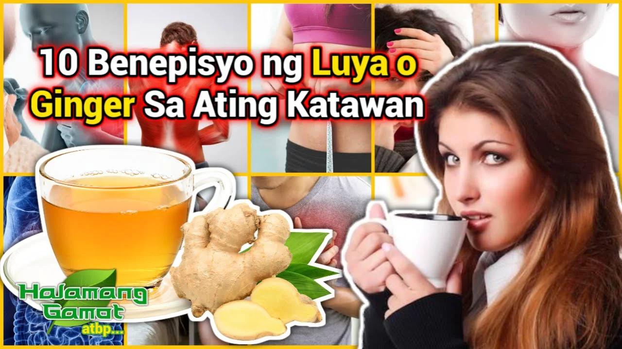 10 Benepisyo ng Luya o Ginger Sa Ating Katawan | Halamang Gamot ATBP