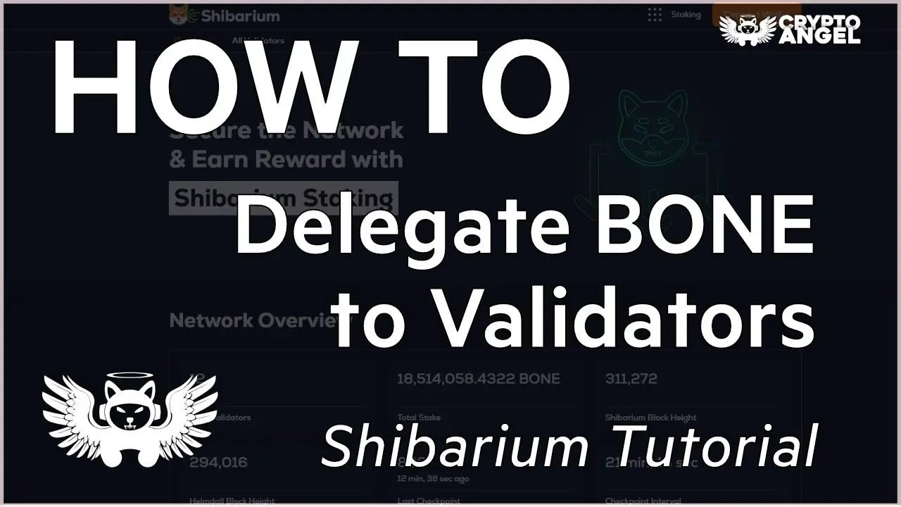 HOW TO Delegate BONE to Shibarium Validators - Tutorial