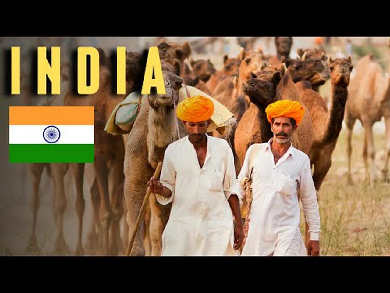 INDIA Country Profile - Everything You Need To Know About INDIA