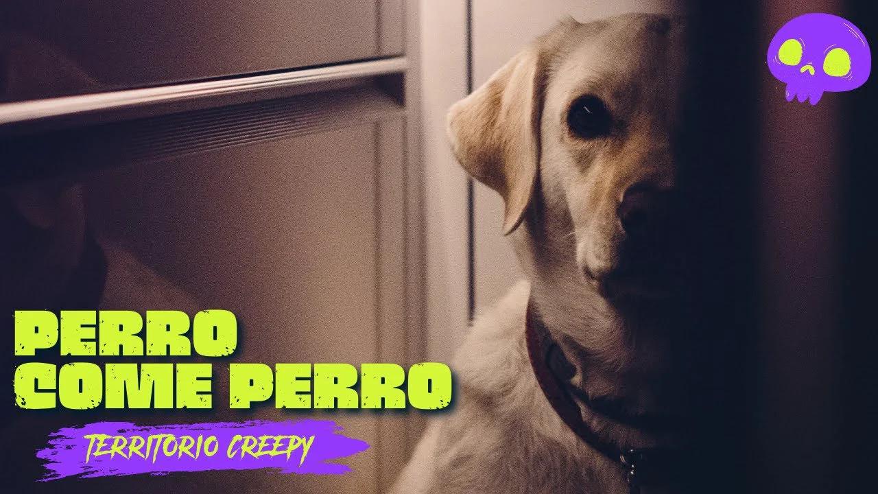 Perro COME Perro | Historia de TERROR - CREEPYPASTA