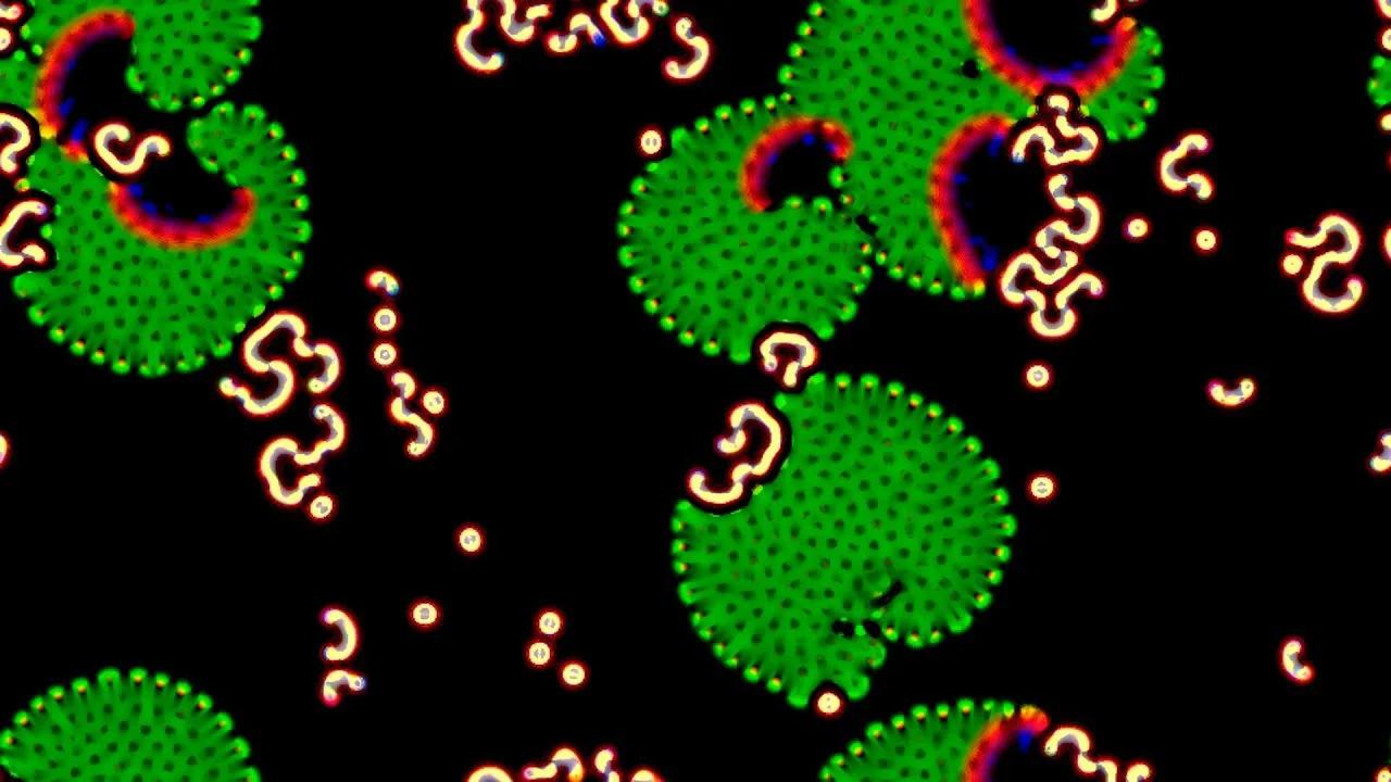Multiple Neighborhoods Cellular Automata