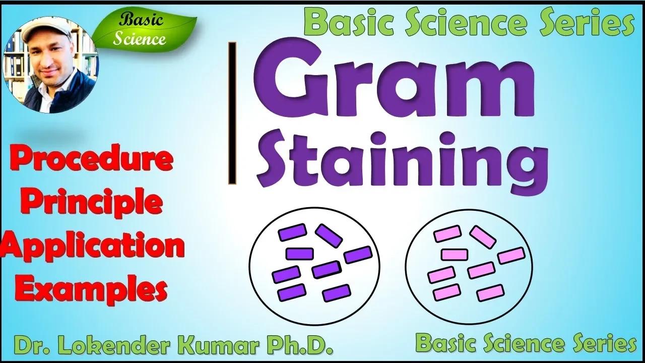 Gram Staining | Microbiology | Bacterial Staining | Gram +ve | Gram -ve ...