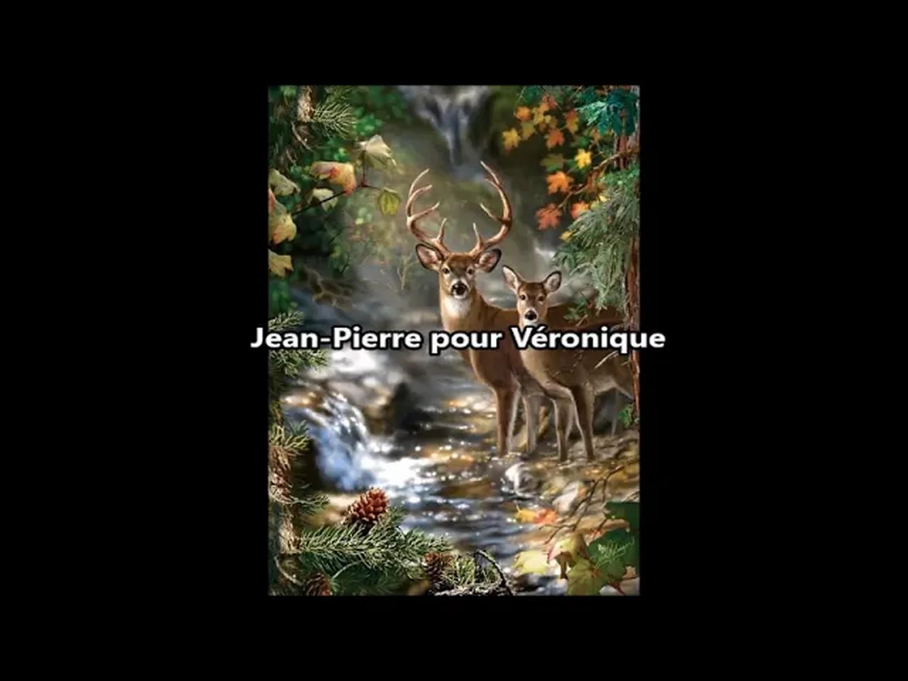 TCI / PVE du 17 décembre 2021 - Tci Live