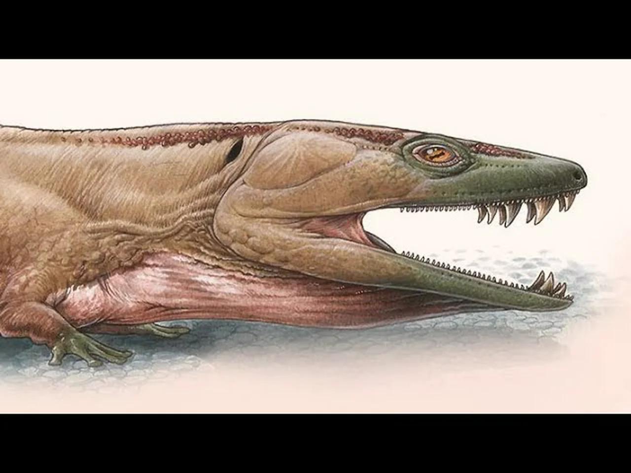 Giant Salamander Creature Reigned Supreme As The Apex Predator In The ...