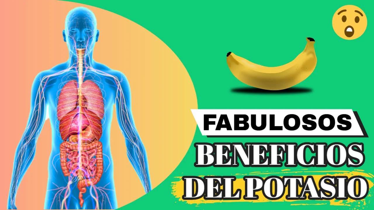 🍌 Para Que Sirve El Potasio En El Cuerpo Humano 👫¿POR QUÉ ES TAN ...