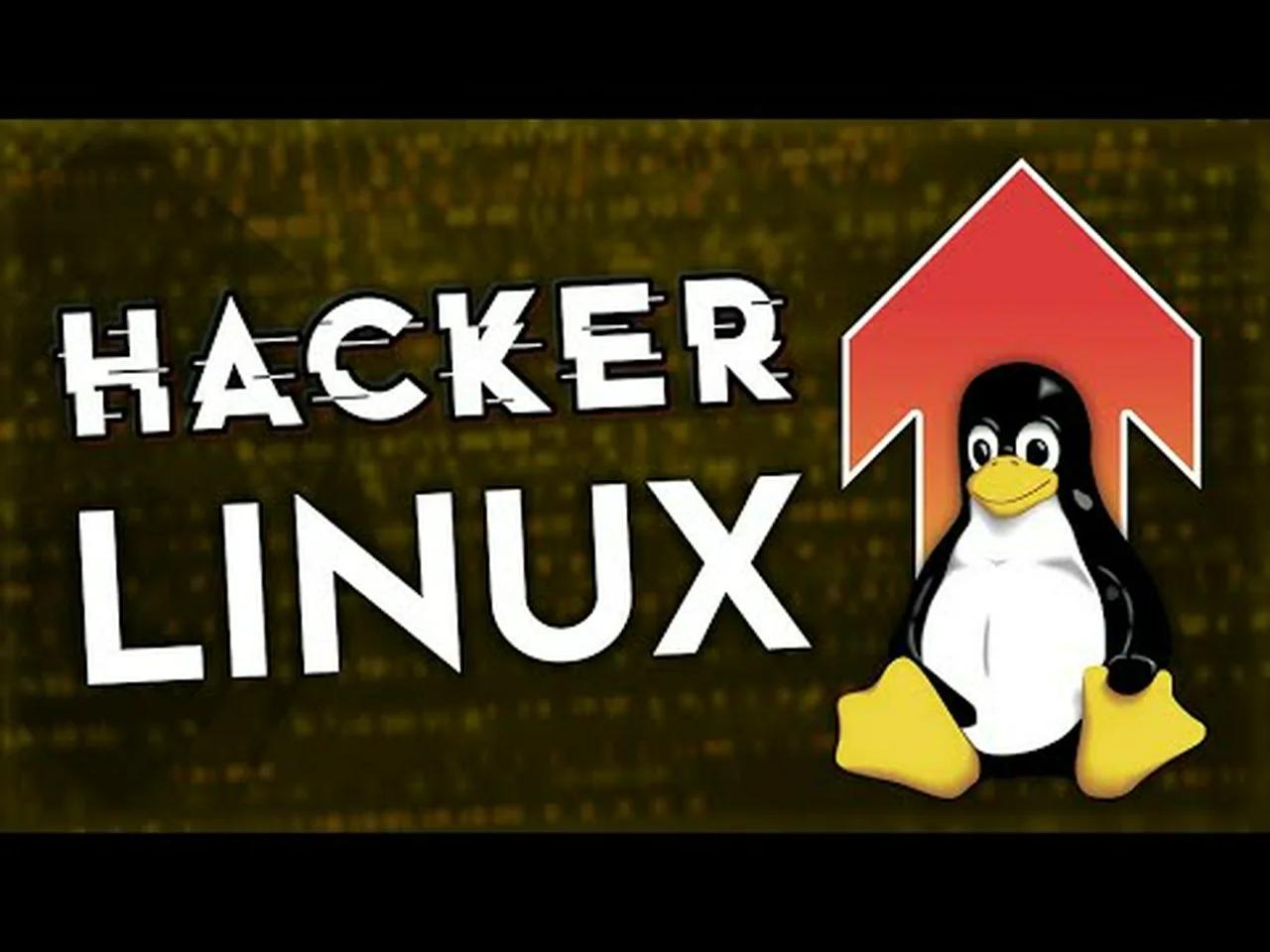[LINUX] passer de USER a ROOT 🔒 (Élévation de privilèges)