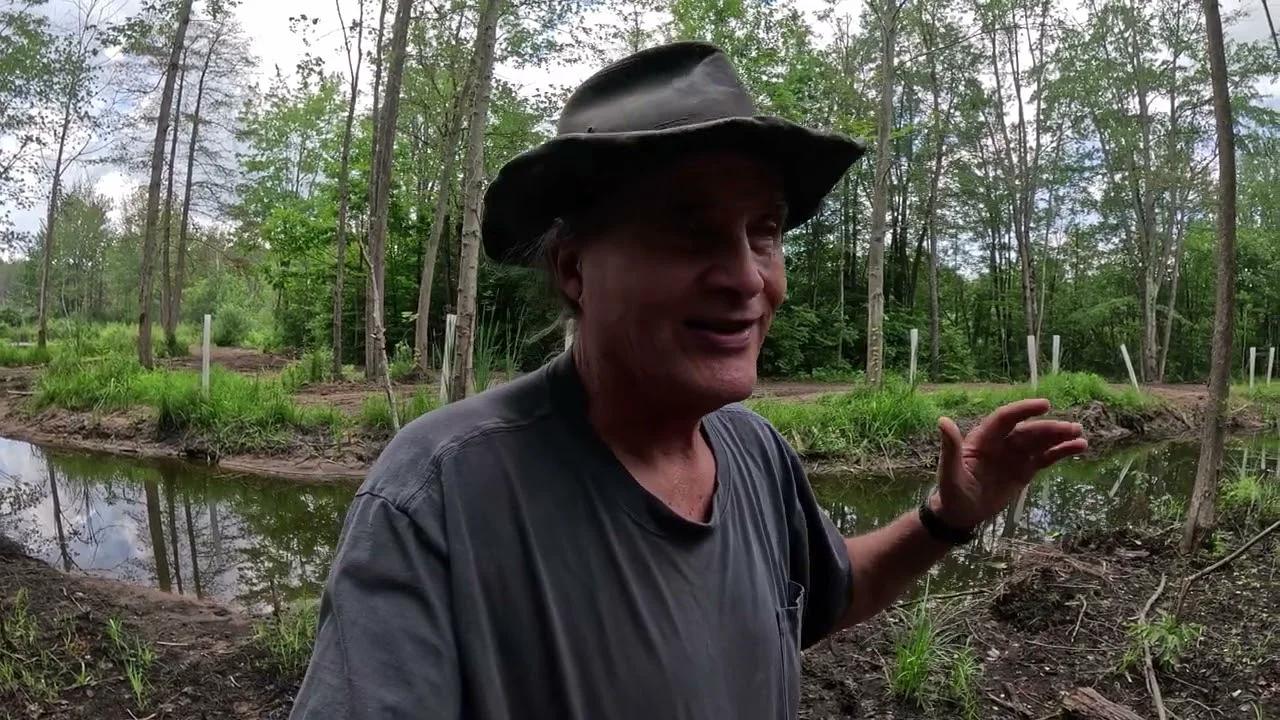 Redirecting Spring Well Water for Pond Conversion: Managing Surface ...