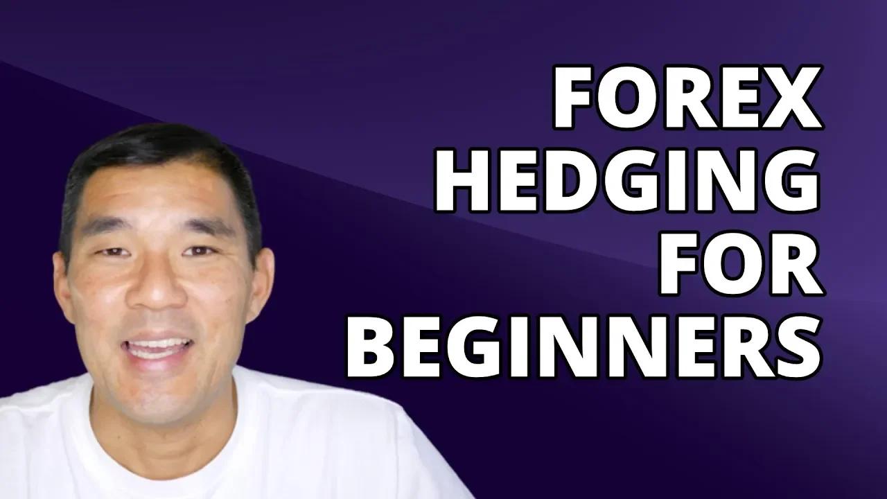Forex Hedging for Beginners (with Examples) | Trading Heroes