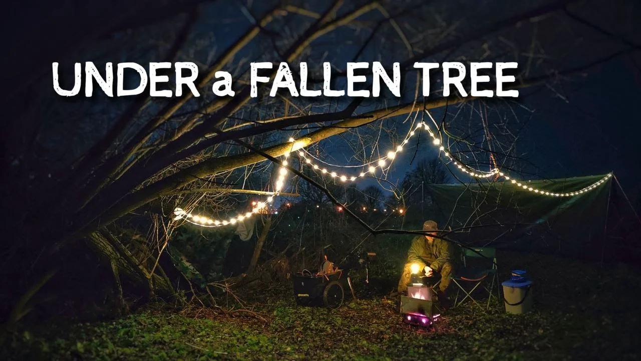 December Camp Lunch – Cozy Cooking Under a Fallen Tree