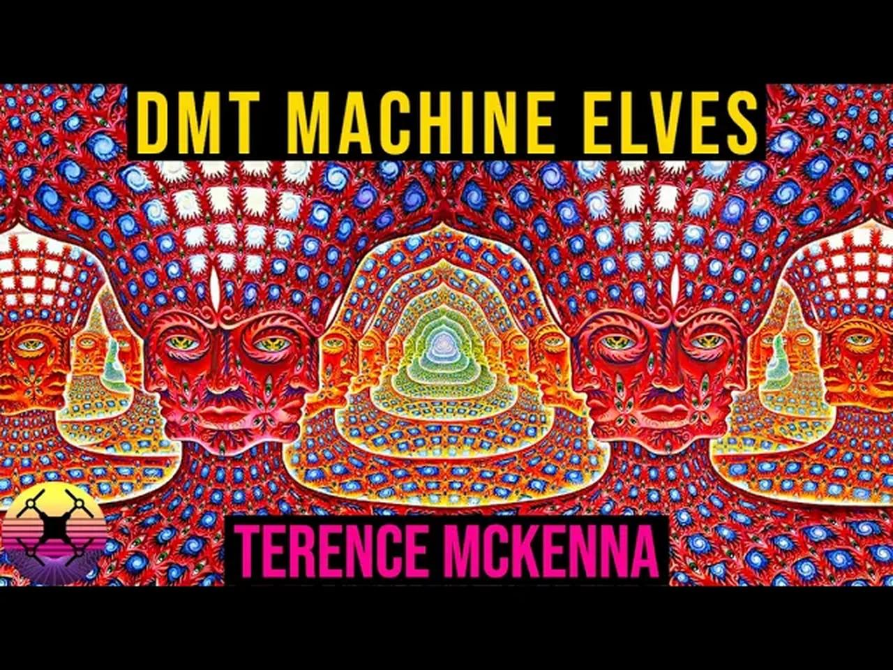 What are the DMT Machine Elves - Terence McKenna