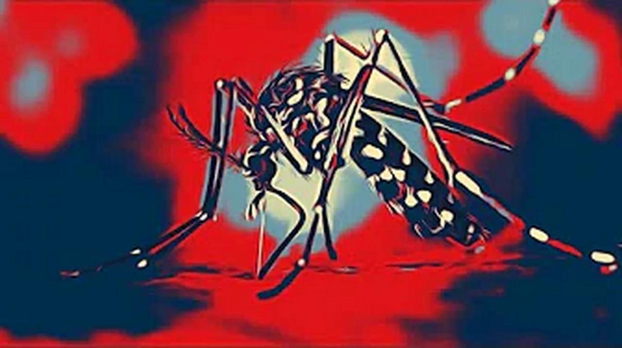 Moustique OGM OX5034, qu'est-ce que c'est