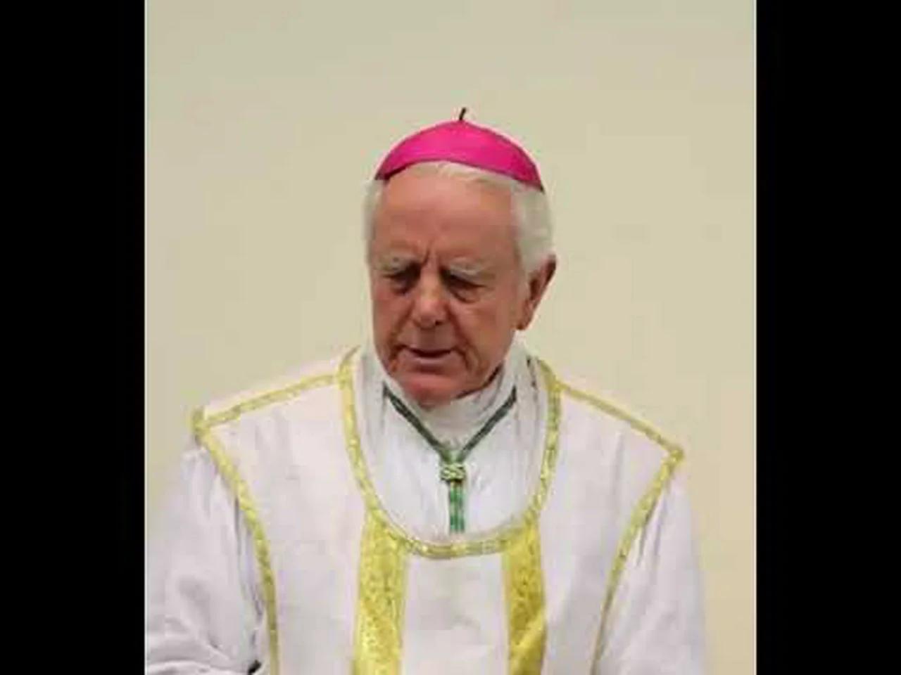 Bishop Richard Williamson Speaks Out Against Globalism