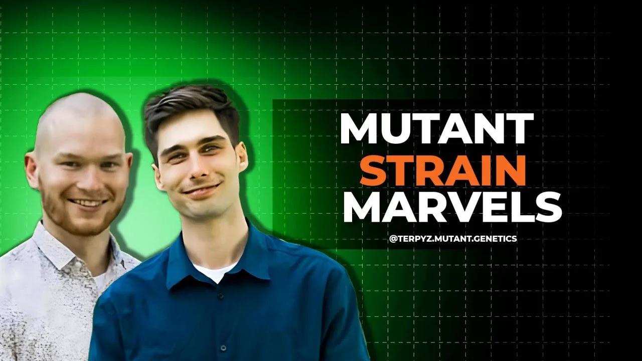 Different Types of Cannabis Mutations