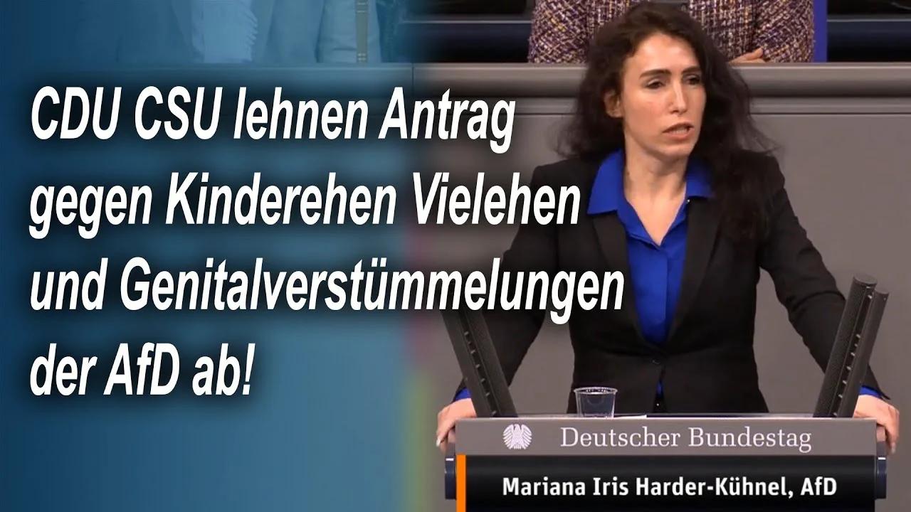 CDU CSU lehnen den Antrag der AfD zum Schutz der Frau ab Mariana Iris ...