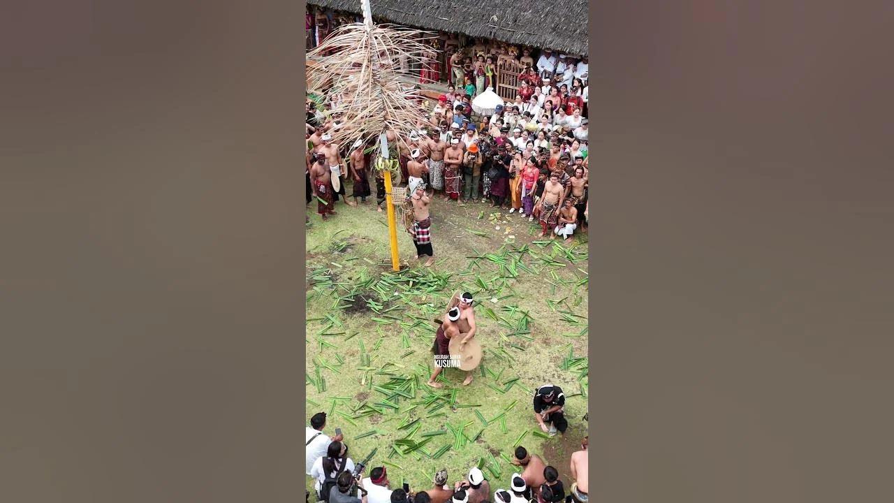 Perang Pandan Tenganan Dauh Tukad #PerangPandan #MekareKare # ...