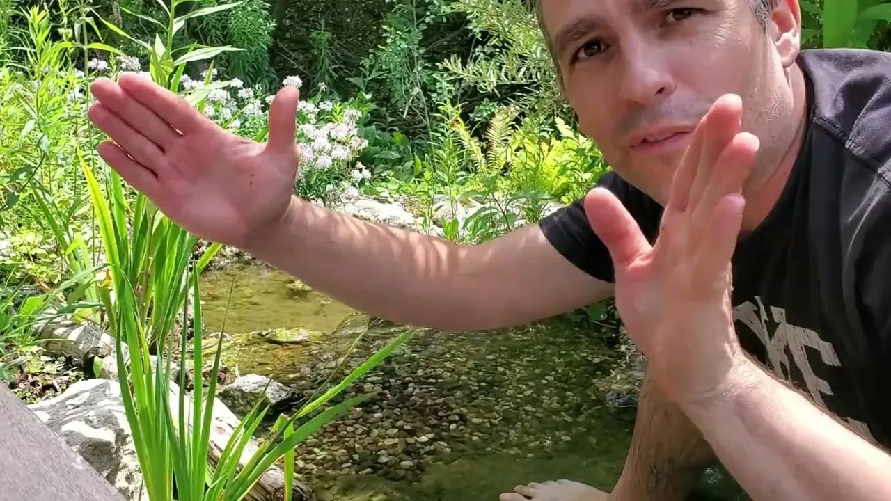 Aquascape Ecosystem Pond - A deep dive exploring detailed design aspects.