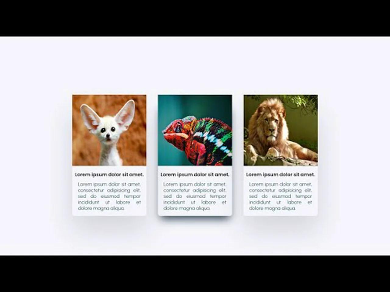 How to Create Post Cards Using HTML and CSS | box Contents text with image