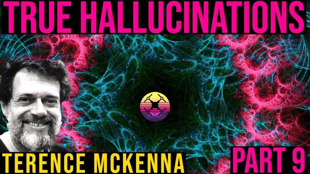 Terence McKenna - True Hallucinations Audiobook - Part 9 | Mesmerising ...