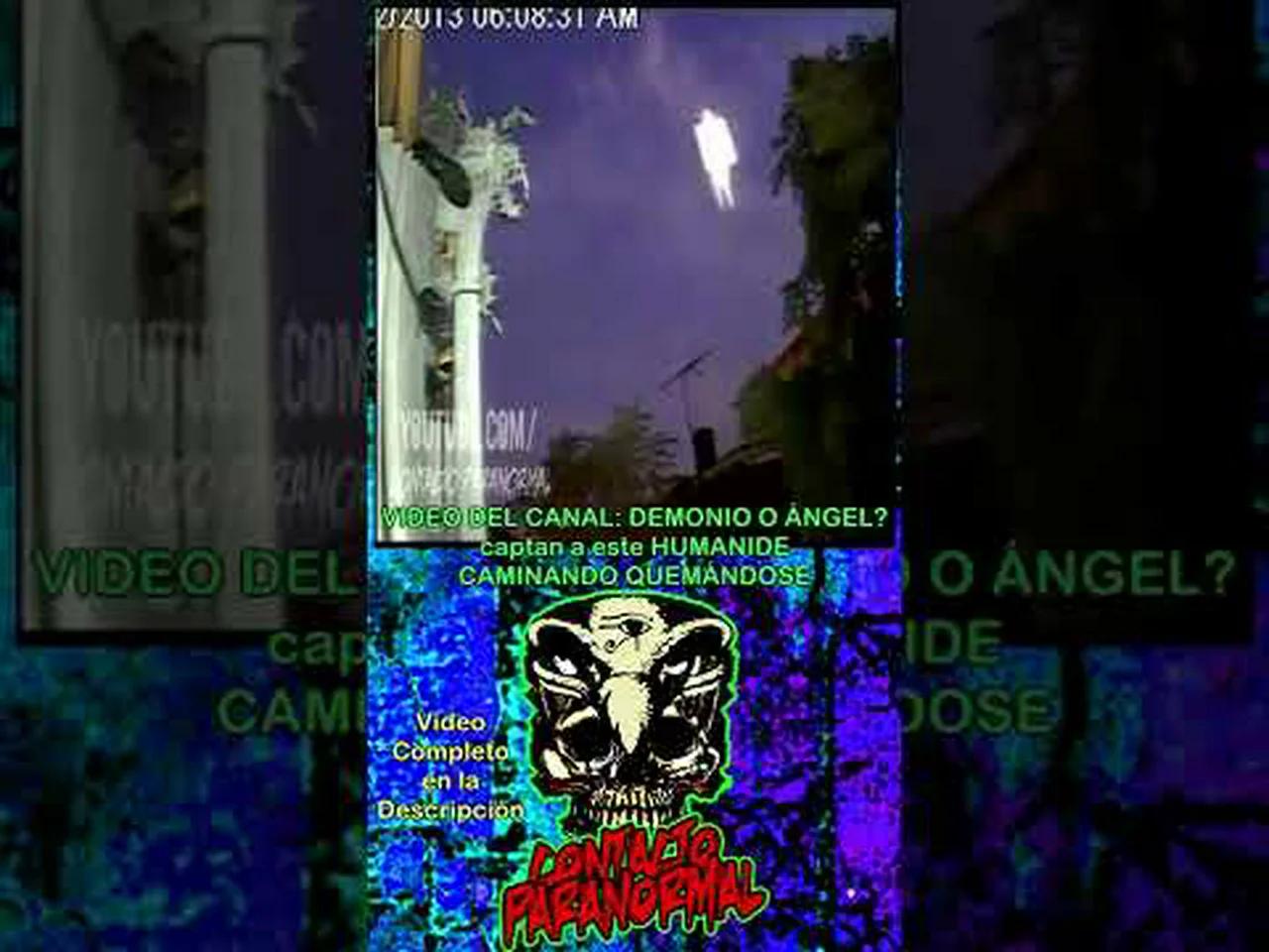 Captaron un hada o un ángel? sea lo que sea, parece ser muy rápida 💀👽 #shorts