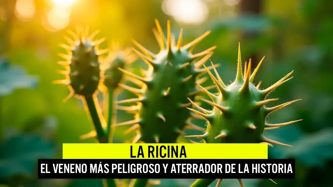 La Ricina: El Veneno Más Peligroso y Aterrador de la Historia