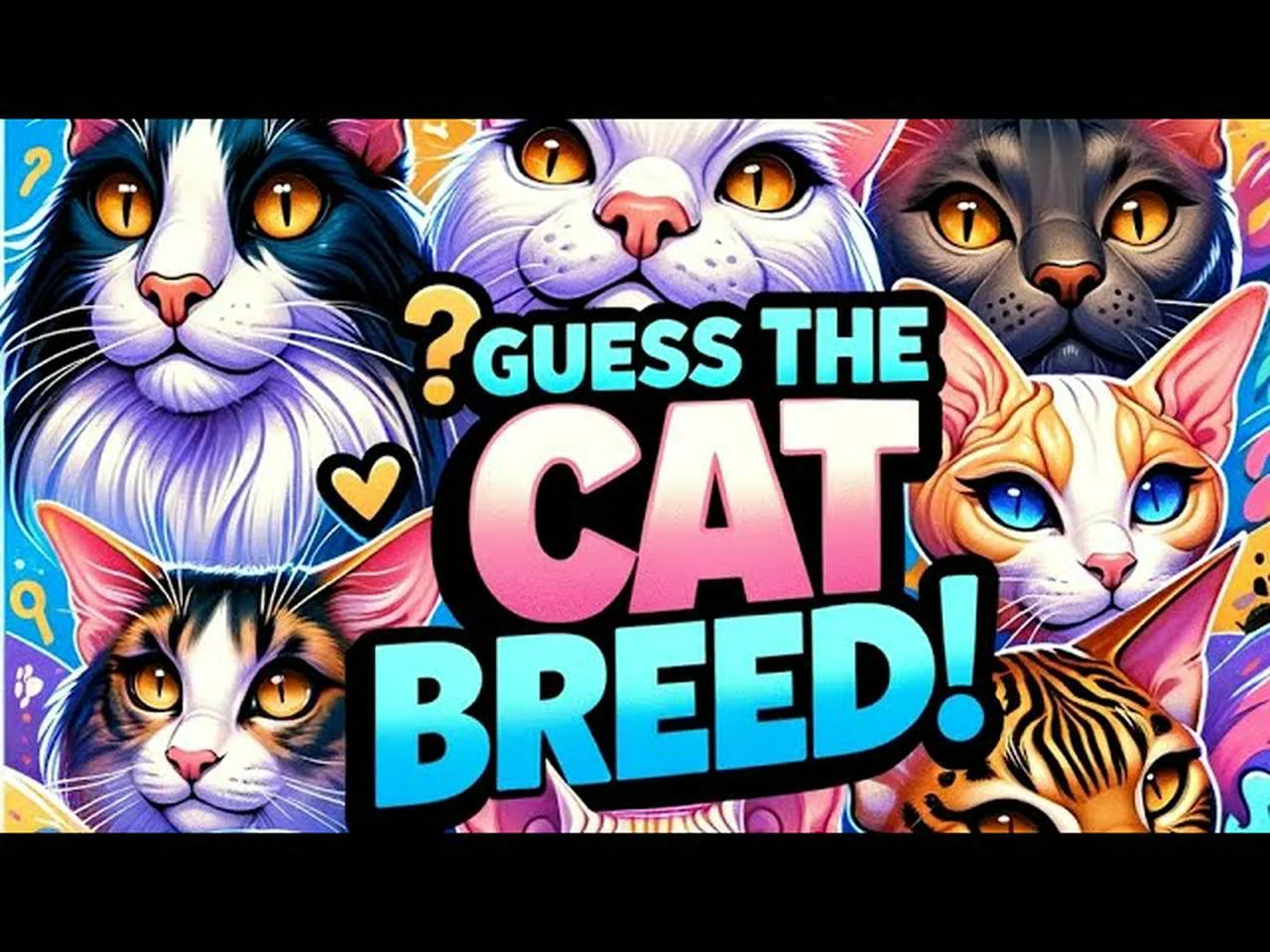 Guess the Cat Breed Challenge! 🐾 Interactive Quiz - Are You a True Cat ...