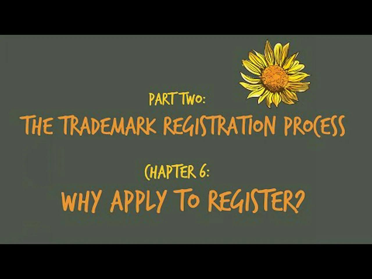 Building A Bold Brand Chapter 6 Why Apply To Register