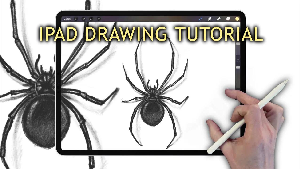 IPAD DRAWING TUTORIAL - How to draw a Spider