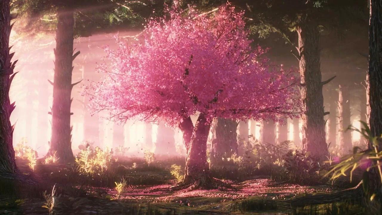 The Forest Tree. Lofi Music Study Relax Sleep.