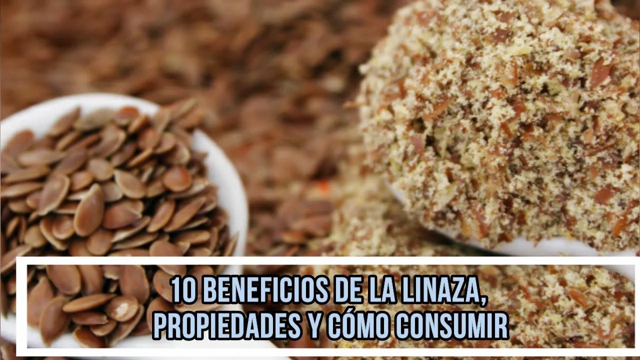 10 BENEFICIOS DE LA LINAZA, PROPIEDADES Y CÓMO CONSUMIR