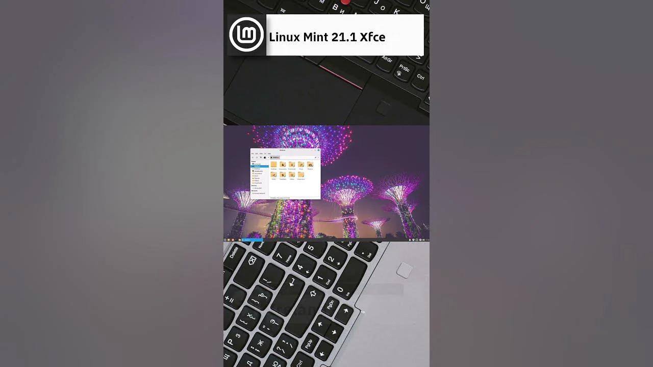Linux Mint 21.1 "Vera" Xfce Quick Overview #shorts