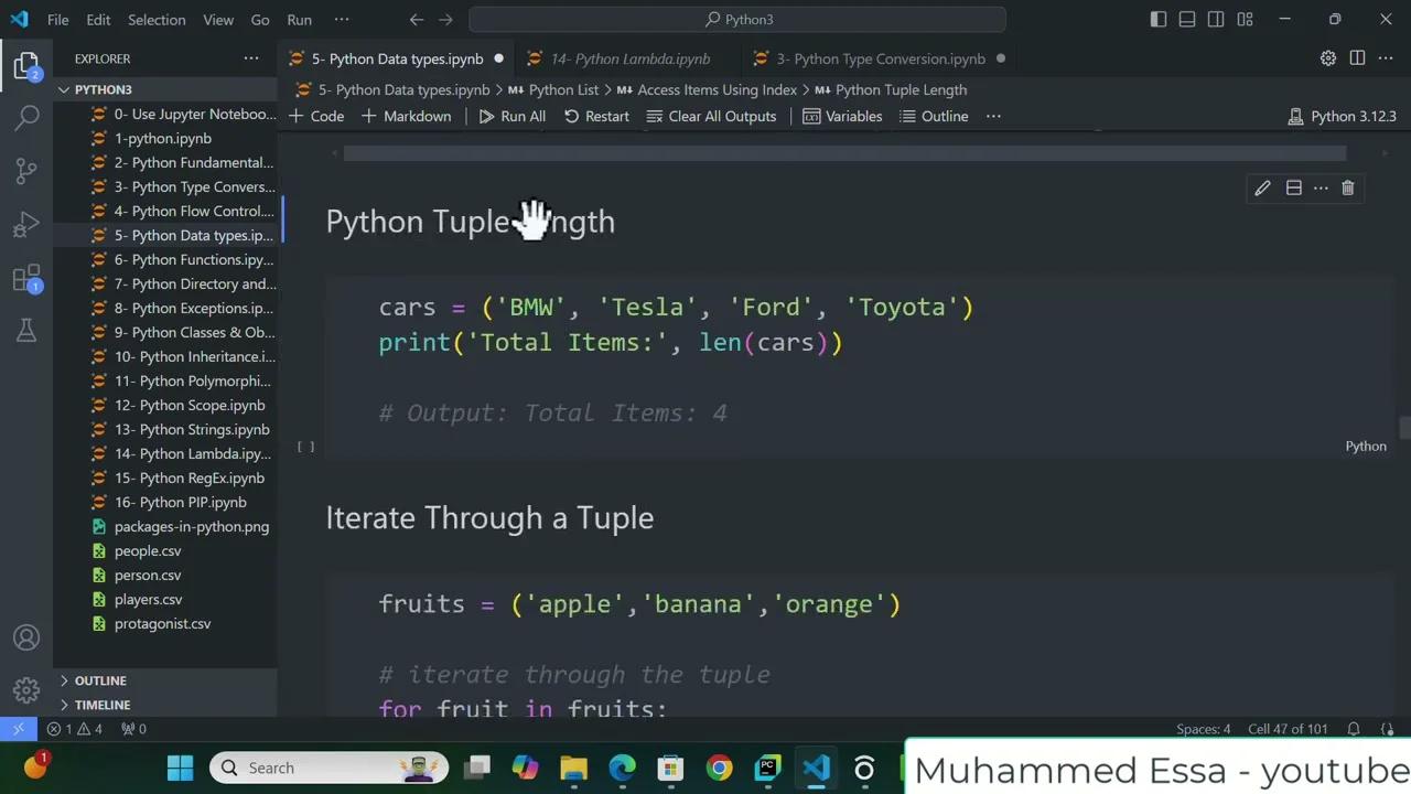 11- Python Data Structure Tuples