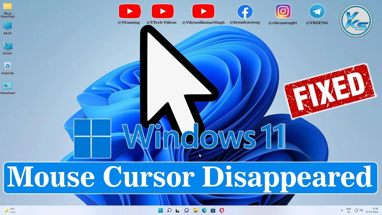 How To Fix Mouse Cursor Disappeared in Windows 11