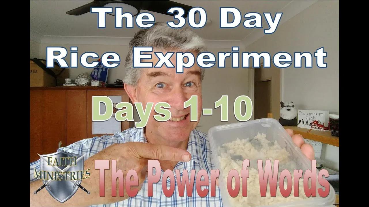 The 30 Day Rice Experiment. Days 1-10 - The Power of Words