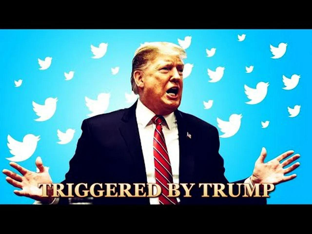 Triggered By Trump TWEETS