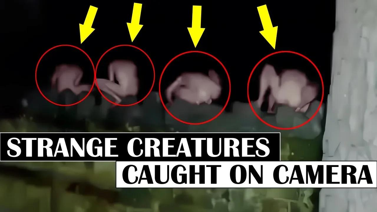| MYSTERIOUS AND CREEPY ENTITIES CAUGHT ON TAPE | इंटरनेट पर वायरल अजीब ...