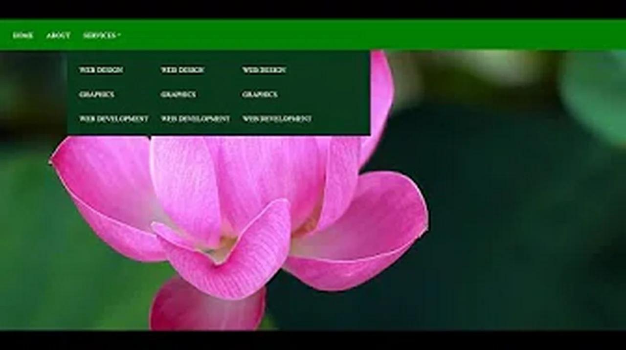 How To Make Html Css Mega Drop Down Menu 2019