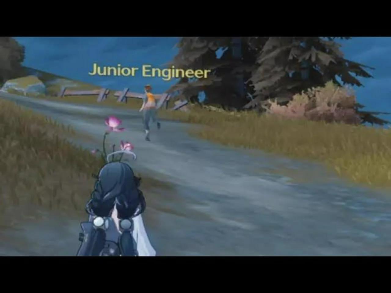 goofy ahh walk in wuthering waves