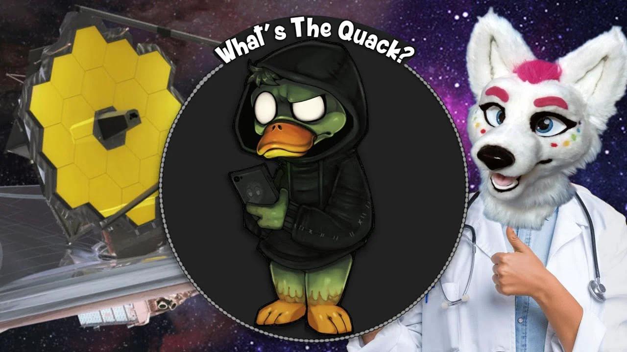 Furry Doctors From Space