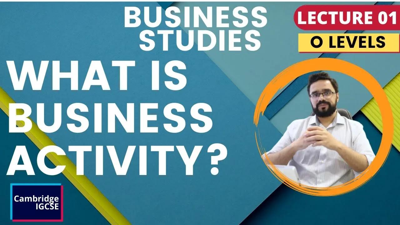 What is Business Activity? | Business Studies Course For IGCSE and O ...